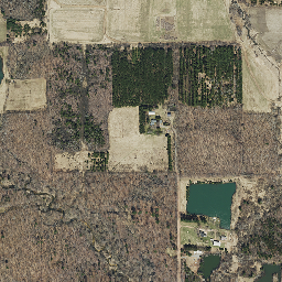 ArcGIS Web Application