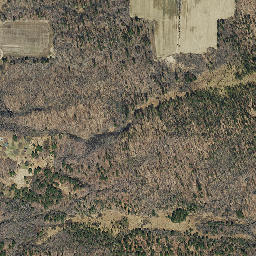 ArcGIS Web Application